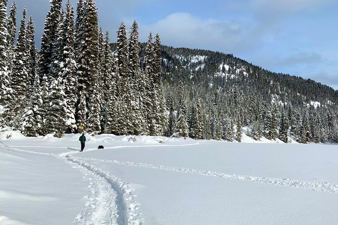 Whistler Lost Lake Snowshoeing and Village Tour - FAQs