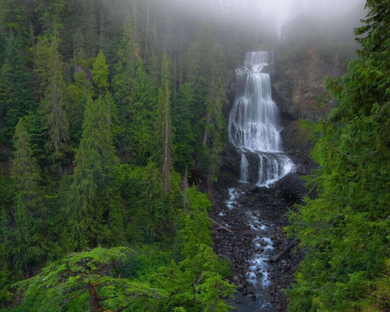 Whistler: Morning with the Bears Land Rover Scenic Excursion - FAQs