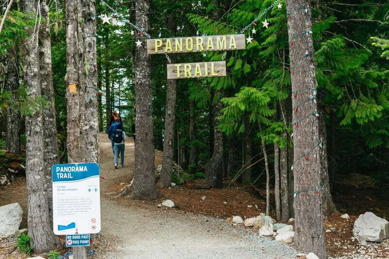 Whistler, Sea to Sky Gondola, and Shannon Falls Day Trip - Authentic Experiences and Scenic Highlights
