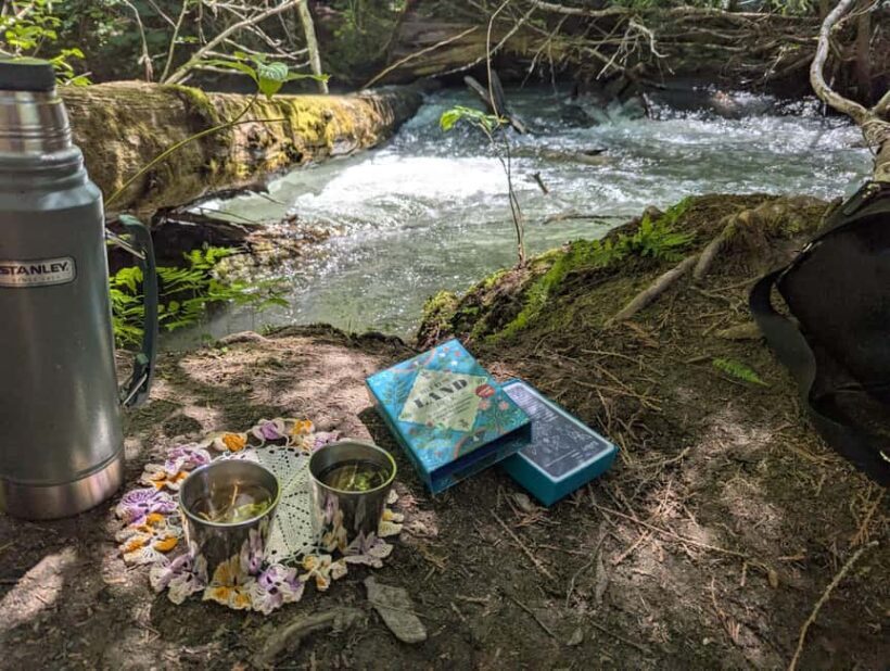 Whistler: Tour, Immersive Nature Experience - A Closer Look at the Whistler Immersive Nature Tour