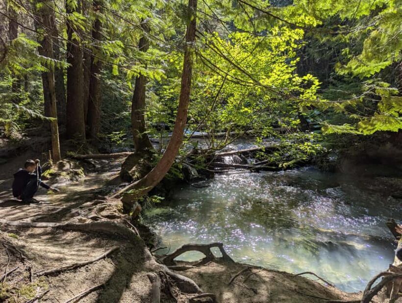 Whistler: Tour, Sensory Nature Experience for Families - Final Thoughts