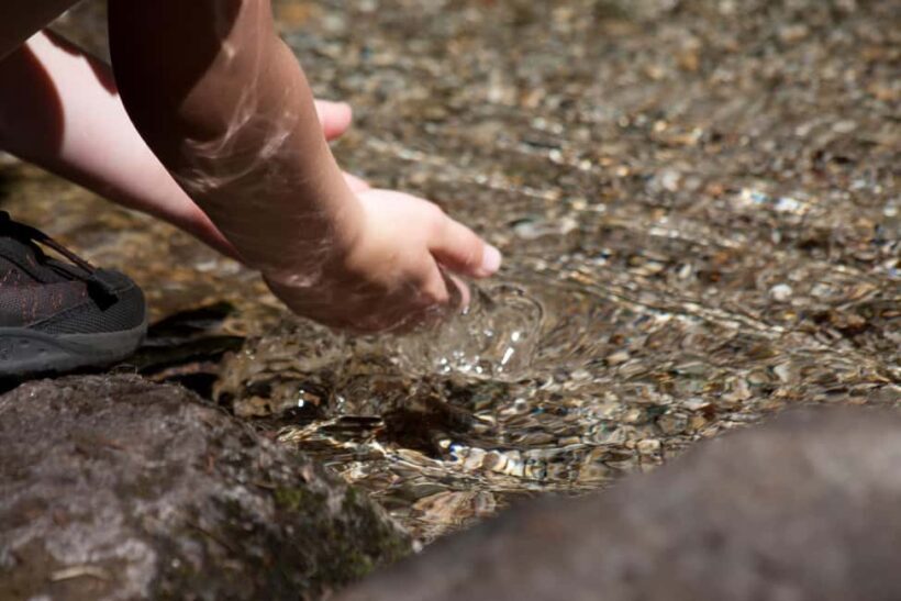 Whistler: Tour, Sensory Nature Experience for Families - FAQ