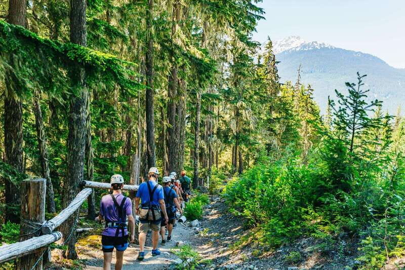 Whistler: Ziplining Experience - Who Is This Tour Best For?