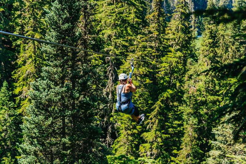Whistler: Ziplining Experience - The Experience: What Youll Feel and See