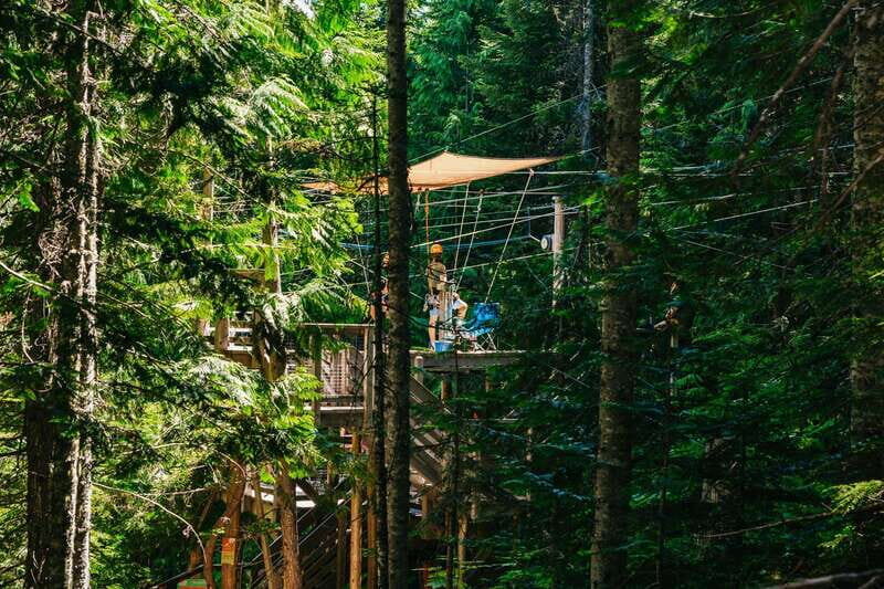 Whistler: Ziplining Experience - Pricing and Value
