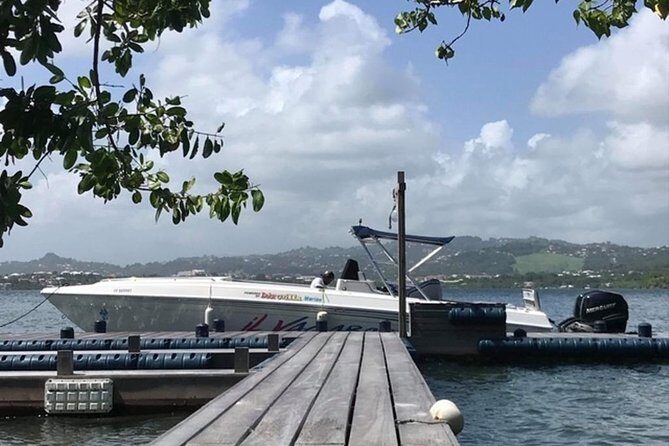 White Background Boat Tour - An In-Depth Look at the White Background Boat Tour