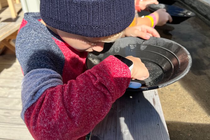 White Pass Deluxe Tour from Skagway - FAQ