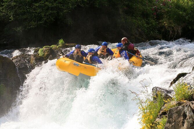 White Salmon River Rafting - Full Day - Final Thoughts: Who Will Truly Love This Experience?