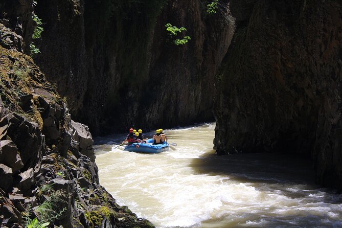 White Salmon River Rafting Half Day - Meeting Point and Logistics for Your Trip