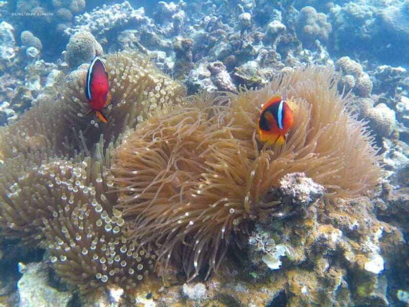 White Sand Island - Snorkeling and Kayaking - Final Thoughts