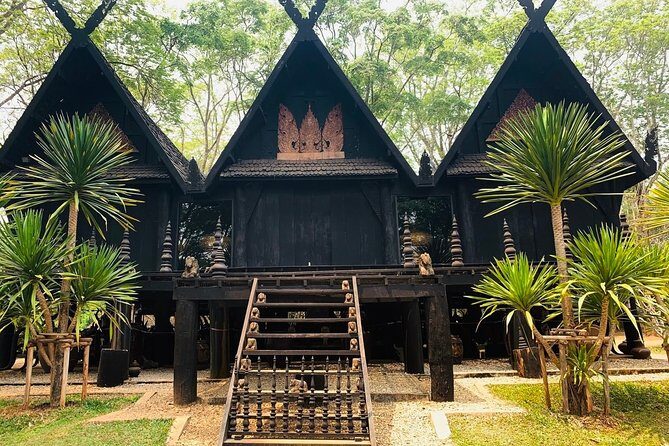 White Temple, Black House Museum and Hot Spring Tour from Chiang Mai - Who Should Sign Up?