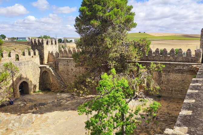 White Villages and Ronda Day Tour from Seville - Transportation and Group Size