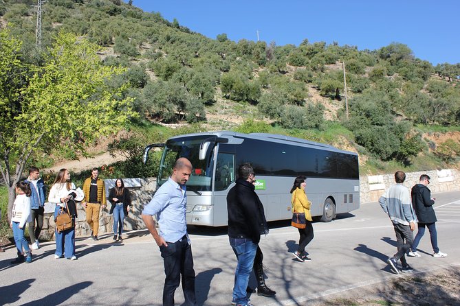 White Villages and Ronda Day Trip From Seville - Customer Experiences