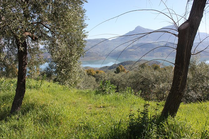 White Villages and Ronda Day Trip From Seville - Tips and Recommendations