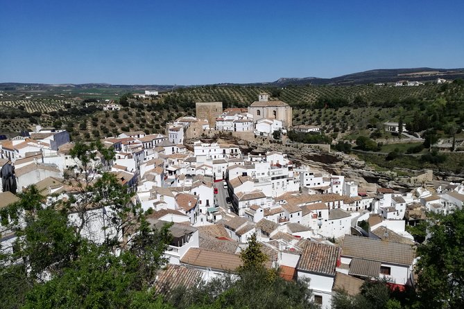 White Villages and Ronda Day Trip From Seville - Inclusions and Accessibility