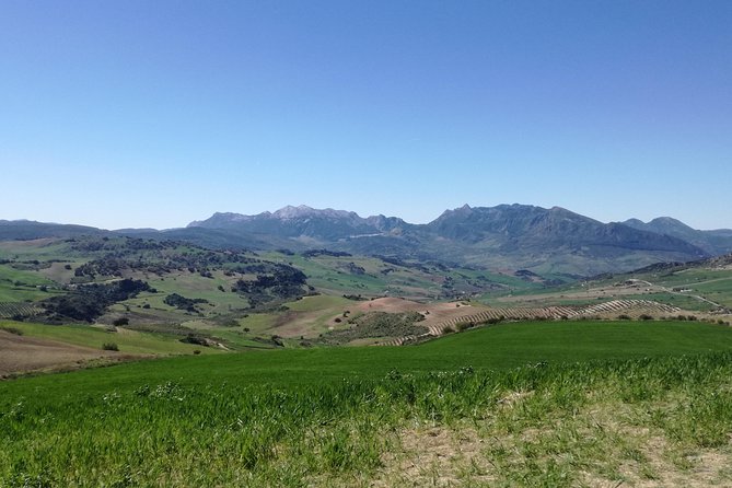 White Villages and Ronda Day Trip From Seville - El Coronil Castle
