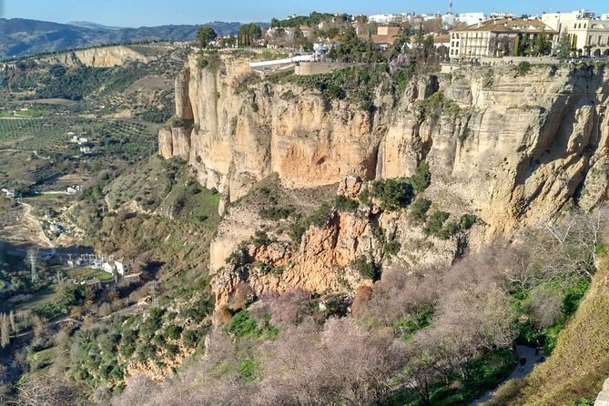 White Villages and Ronda Guided Day Tour from Seville - The Bottom Line