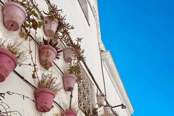 White villages from Seville: Arches, Medina Sidonia and Vejer - Authentic Experiences and the Guide’s Role
