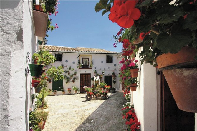 White Villages & Ronda 2 Days Tour From Seville - Customer Feedback and Reviews