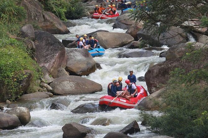 White Water Rafting and Waterfall Tour From Krabi - The Sum Up