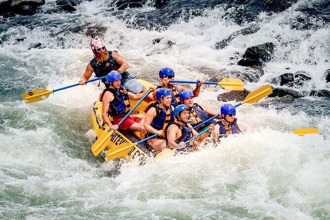 White Water Rafting from Colombo - Final Thoughts: Who Should Sign Up?