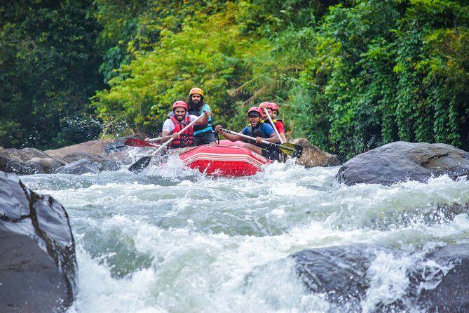 White Water Rafting from Kitulgala - Key Points