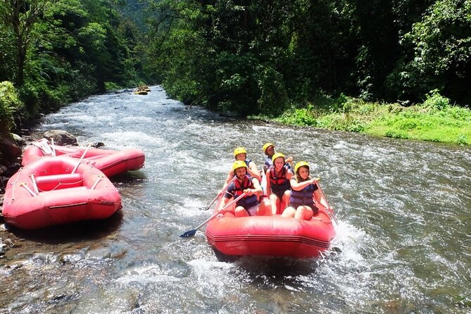 White Water Rafting & Gates of Heaven Tour - Who Will Love This Tour?