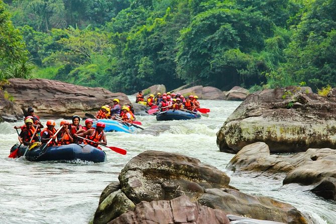 White Water Rafting in Kitulgala - FAQ