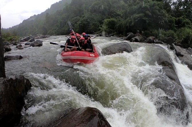 white water rafting tour - What to Expect from the White Water Rafting Tour