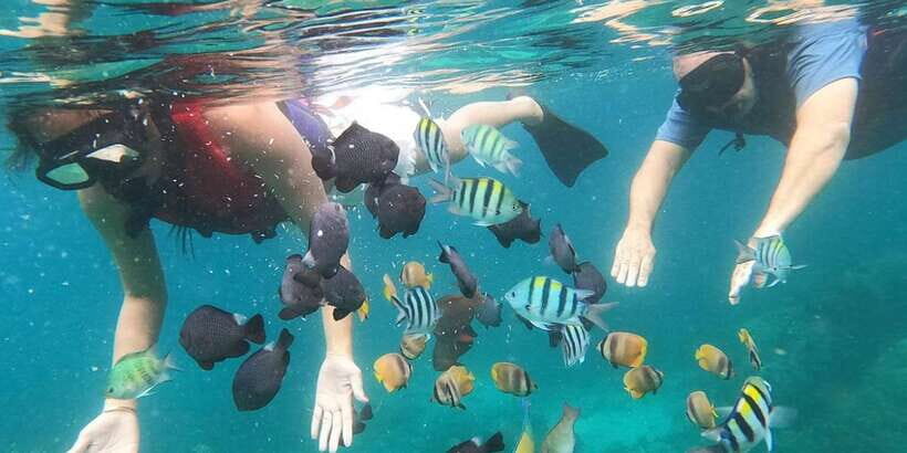 White Water Rafting with Blue Lagoon Snorkeling - The Experience From a Traveler’s Perspective