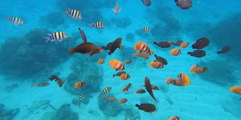 White Water Rafting with Blue Lagoon Snorkeling - Authenticity and Guide Quality