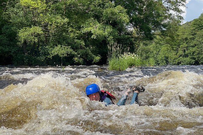 White Water River Bugs in Llangollen - Navigating the Rapids
