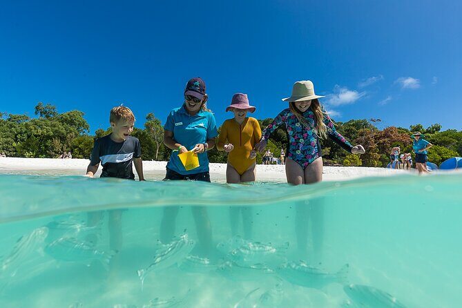 Whitehaven Beach and Hamilton Island Cruise from Airlie Beach - What Travelers Say