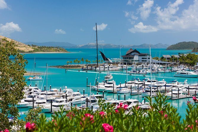 Whitehaven Beach and Hamilton Island Cruise from Airlie Beach - FAQs