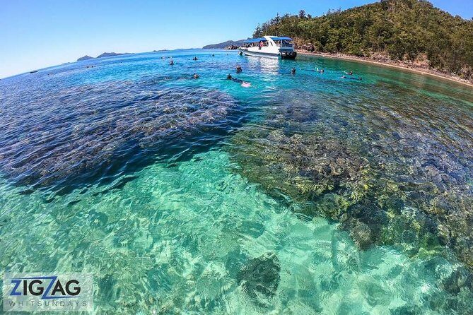 Whitehaven Beach Tour: 2 Options - All Day Beach Or Snorkel - The Return Journey and Additional Perks