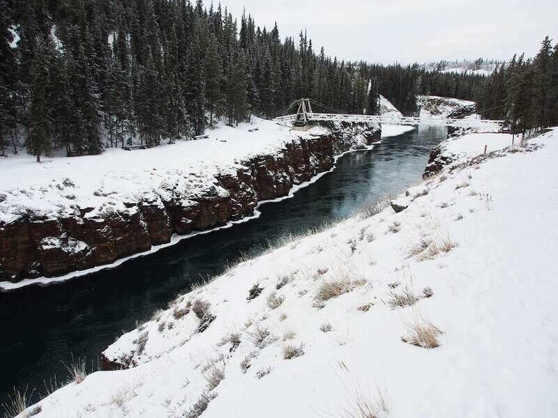 Whitehorse: Half-Day Snowshoeing Tour - Wildlife and Nature Learning