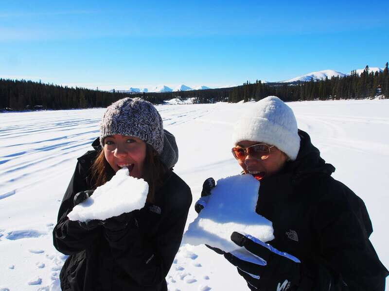 Whitehorse: Half-Day Snowshoeing Tour - Authenticity and Value