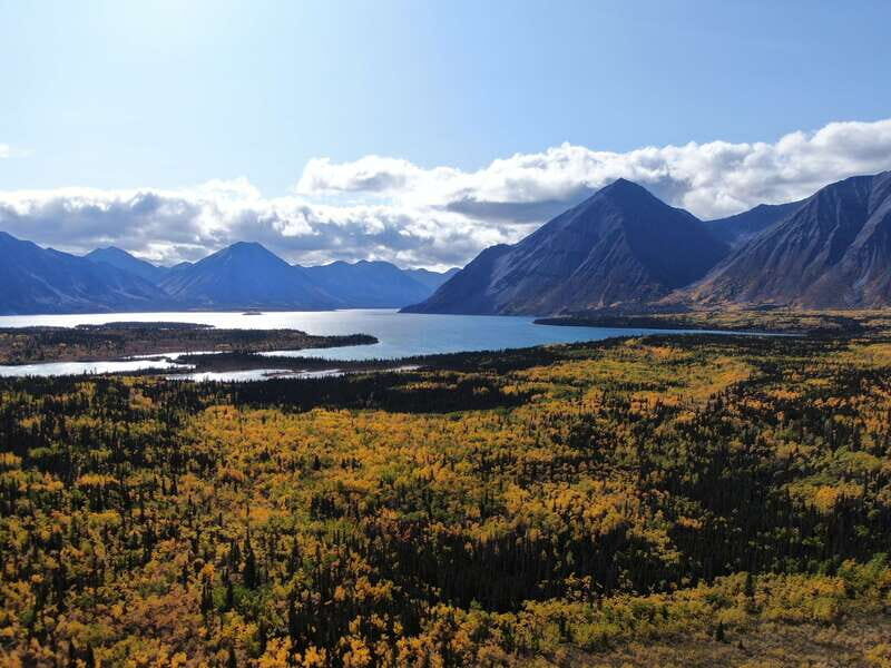 Whitehorse: Kluane - Wildlife & Vistas - An In-Depth Look at the Tour Experience
