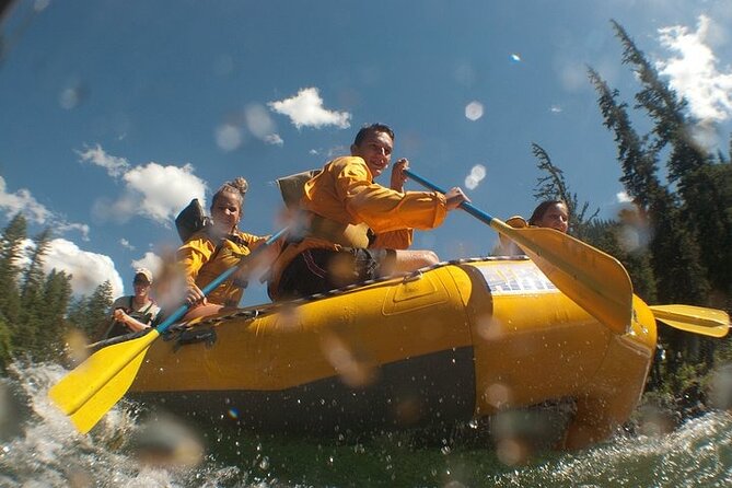 Whitewater Rafting Adventure in Jackson Hole - Small Boats - Key Points