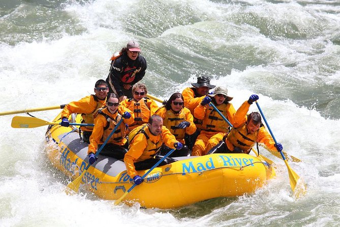Whitewater Rafting Adventure in Jackson Hole - Small Boats - Group Size and Difficulty