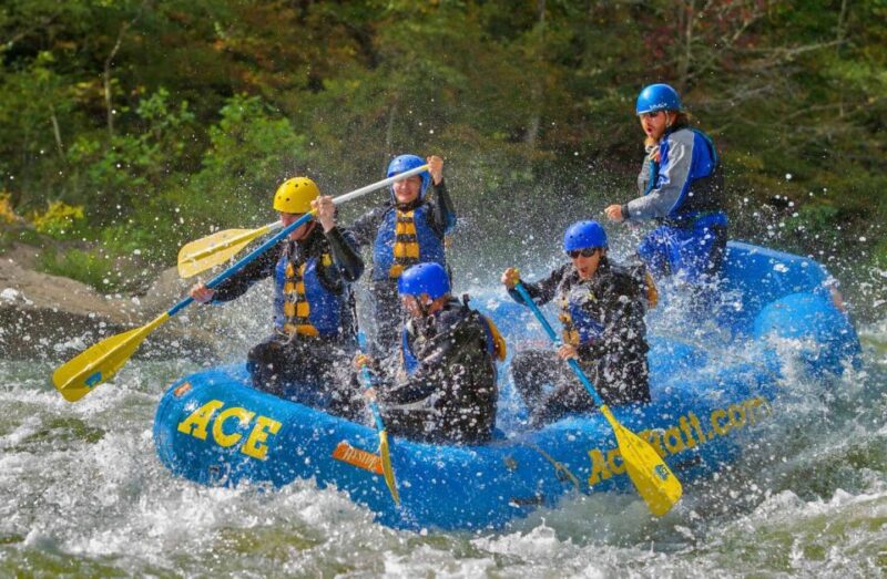 Whitewater Rafting on the Fall Lower Gauley - Saturday - The Full Experience: What to Expect