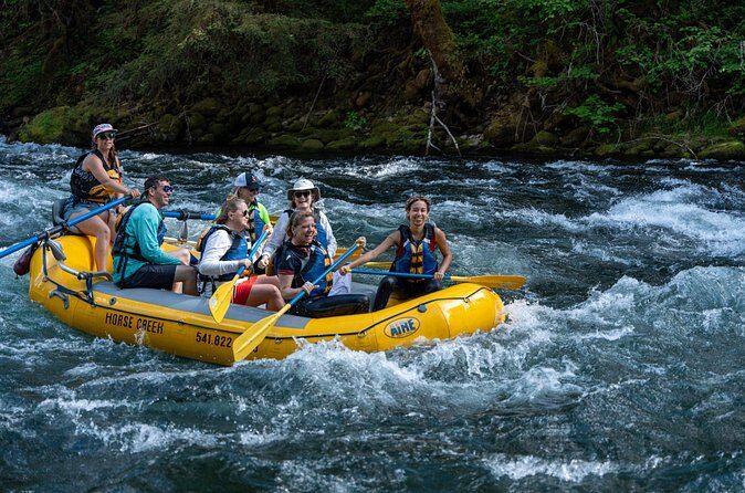 Whitewater Rafting on The McKenzie River - Authentic Reviews and Real Experiences