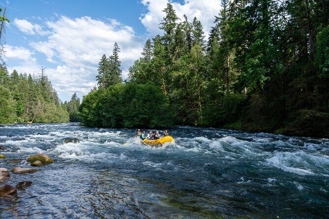 Whitewater Rafting on The McKenzie River - The Sum Up: Who Should Consider This Rafting Adventure?