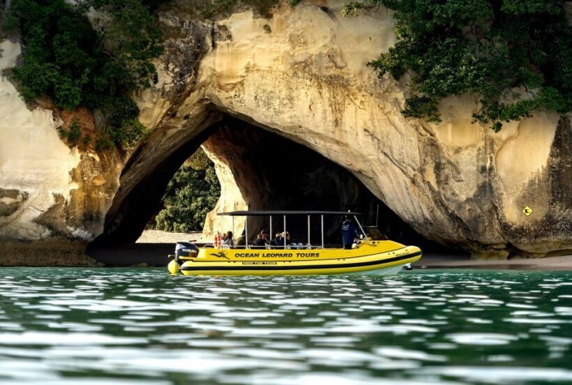 Whitianga: 2-Hour Cathedral Cove and Volcanic Coast Cruise - Duration and Value