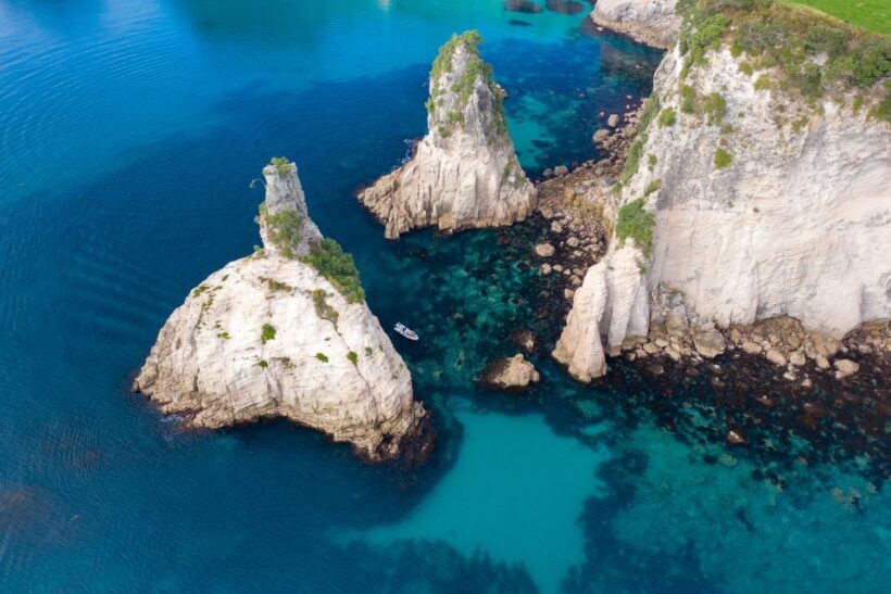 Whitianga: Cathedral Cove Thrilling Boat Tour and Snorkeling - An In-Depth Look at the Experience