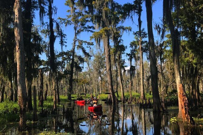 Whitney Plantation and Manchac Swamp Kayak Tour Combo - The Sum Up: Who Will Love This Tour?