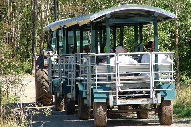 Whitsunday Crocodile Safari from Airlie Beach including Lunch - Key Points