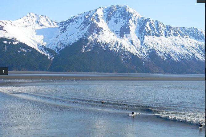 Whittier to Anchorage Cruise Transfer and Private Tour - Who This Tour Is Best For