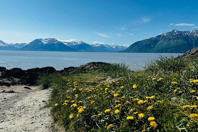Whittier to Anchorage Land Transfer Tour With AWCC - Practical Tips for Future Travelers
