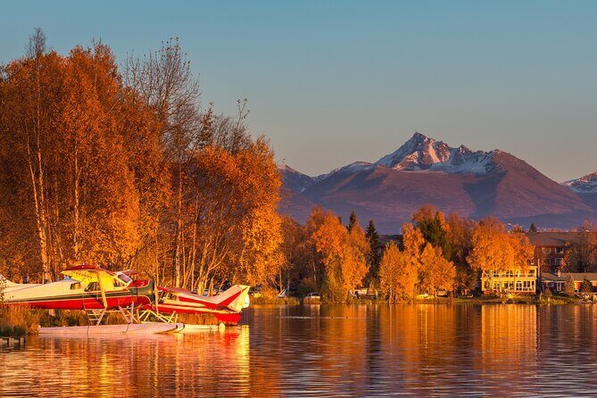 Whittier to Anchorage Post Cruise Wildlife Glacier Tour - Is This Tour Worth It?